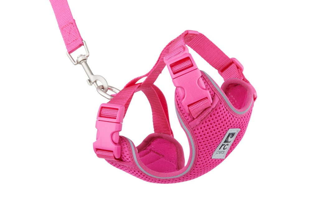 RC Pets Adventure Kitty Harness Rasberry - Brookline, MA - Brookline ...